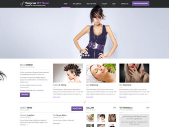 Help – ProteusThemes